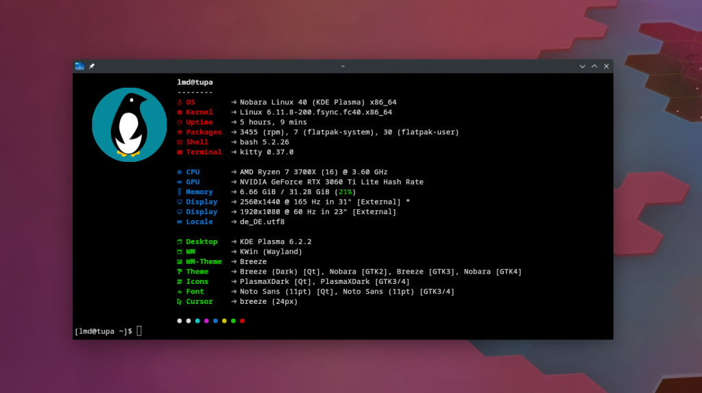 Systeminfos anzeigen mit fastfetch